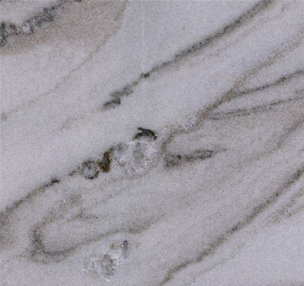 Parrees. Madagascar Exotic Marble
