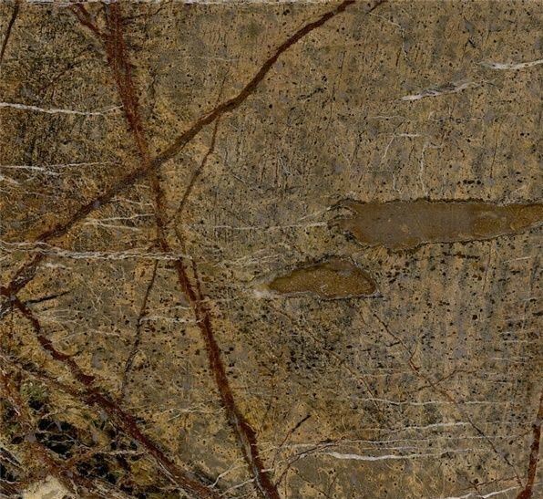 Parrees. Rain Forest Marble